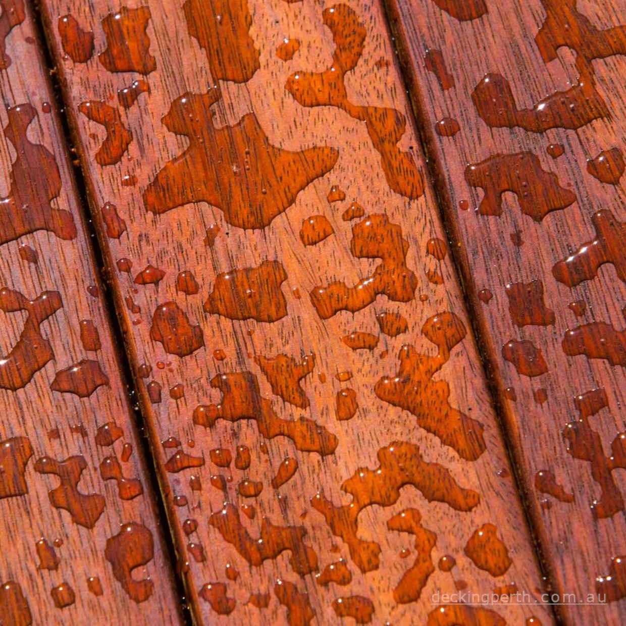 Premium Merbau Timber Decking Package – Decking Perth