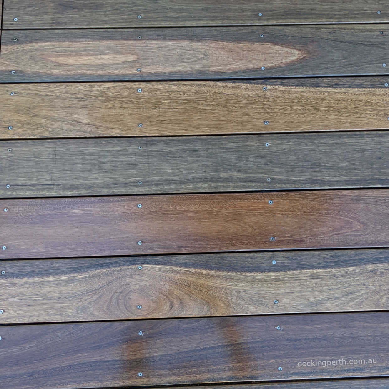 SPOTTED GUM Timber Decking – Decking Perth