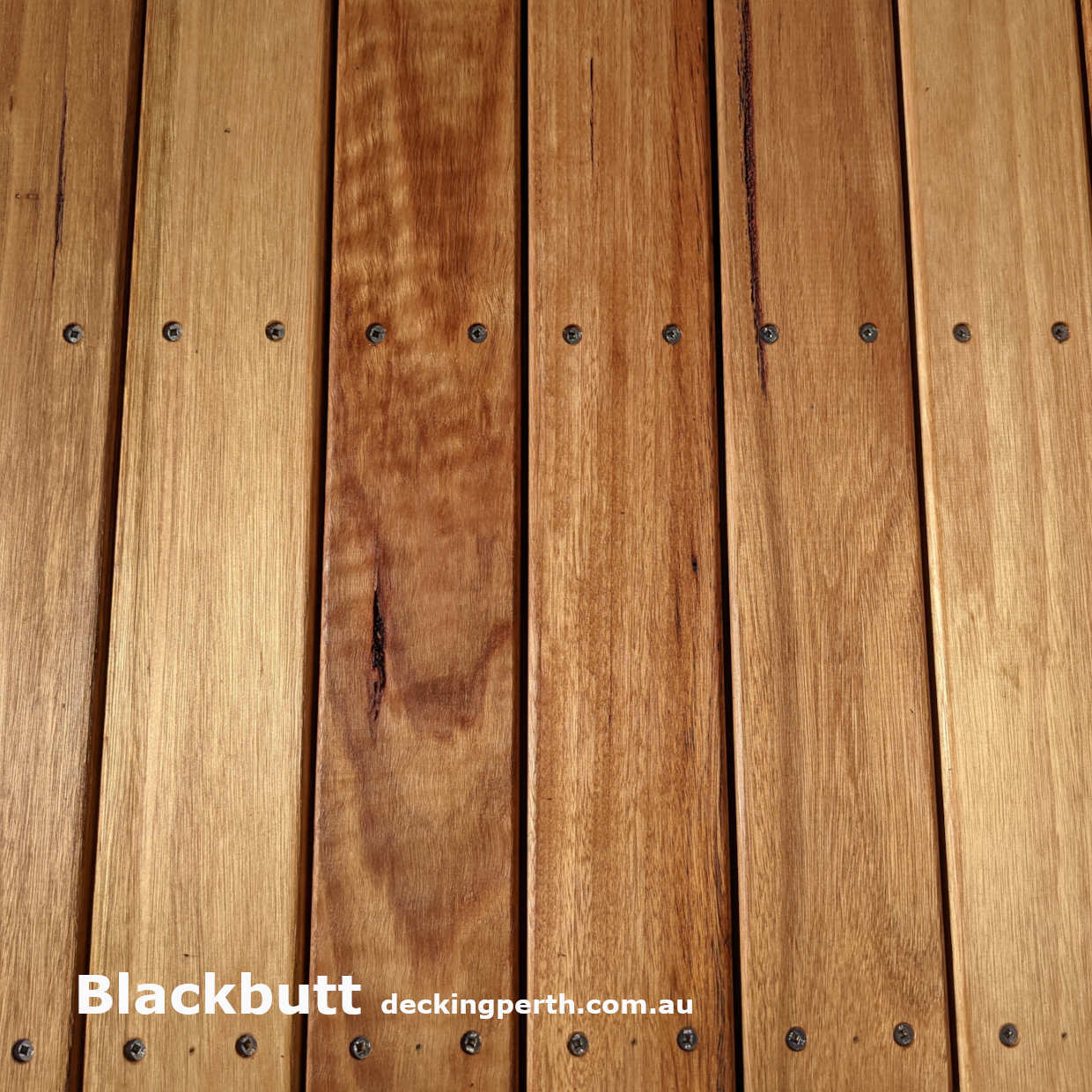BLACKBUTT Timber Decking – Decking Perth