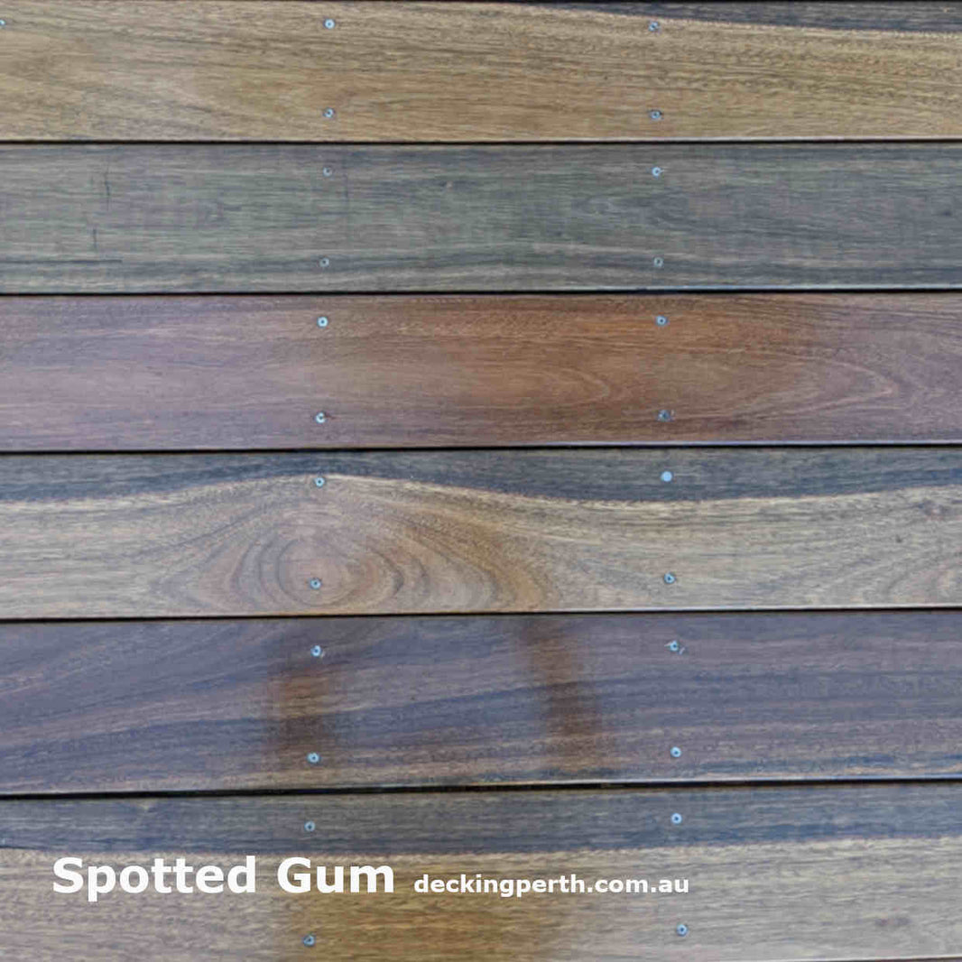 SPOTTED GUM Timber Decking – Decking Perth