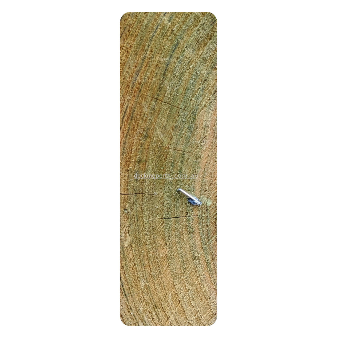 PINE - H3 Treated 45 x 140mm F7, MGP10 – Decking Perth