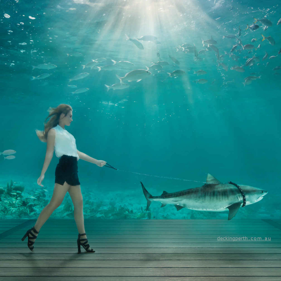 MOISTURE SHIELD - 35% Cooler Composite Decking – Decking Perth