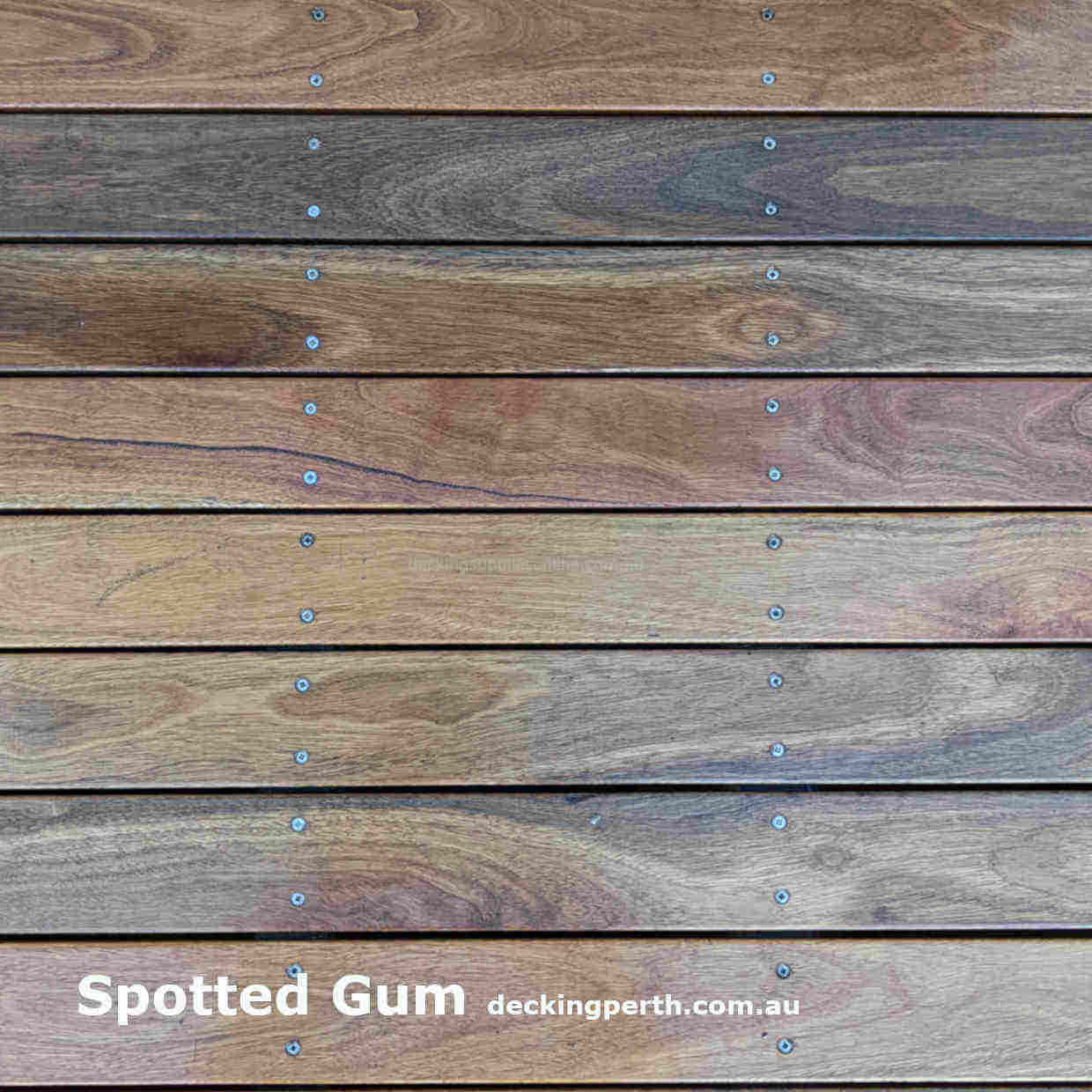 SPOTTED GUM - 86 x 19 R/L Decking Random Length standard & better grad ...